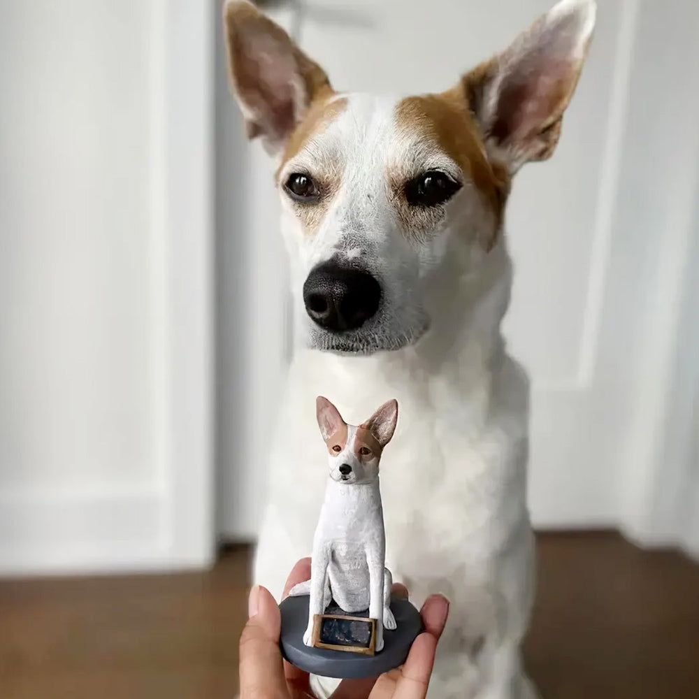 Custom Pet Bobbleheads, Custom Animal Bobbleheads UK – BobbleGifts UK